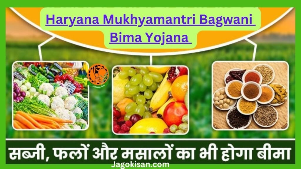 Mukhyamantri Bagwani Bima Yojana 2023 | Bagwani Bima Yojana Haryana ...