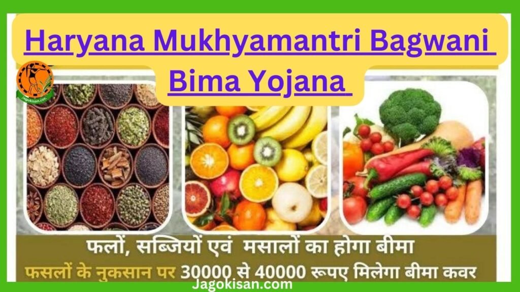 Mukhyamantri Bagwani Bima Yojana 2023 | Bagwani Bima Yojana Haryana ...