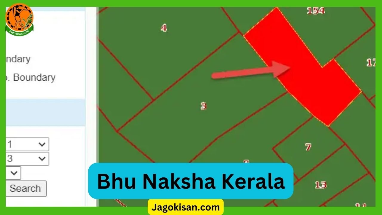 Bhu Naksha Kerala 2024 | केरल भू नक्शा चेक और डाउनलोड कैसे करें ...