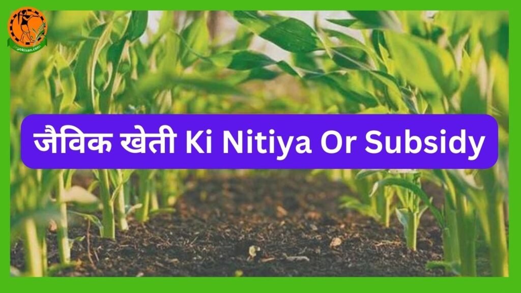 Jaivik Kheti Ki Nitiya Or Subsidy 2023 | जैविक खेती भूमि-किसान-उपभोक्ता के हित की नीतियों की जरूरत