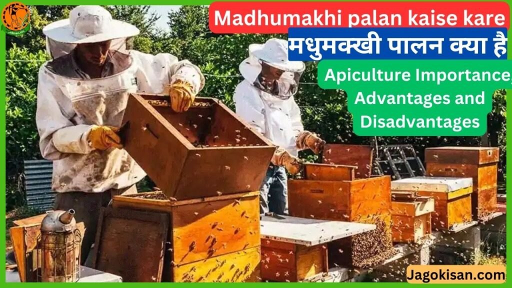 Madhumakhi Palan Kaise Kare 2024 | मधुमक्खी पालन क्या है | मधुमक्खी ...