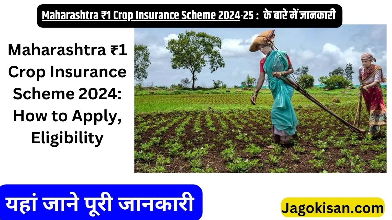 Maharashtra ₹1 Crop Insurance Scheme 2024: How To Apply, Eligibility ...